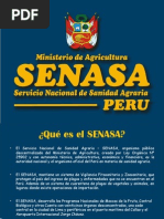 Nom 075 Fito 1997 | PDF | Naranja) | Pomelo