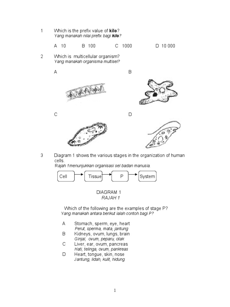 Science Form 2 Paper 1 | PDF | Teaching Methods & Materials | Science ...