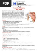 Wrist Isometric Exercise Program | PDF | Anatomical Terms Of Motion | Hand
