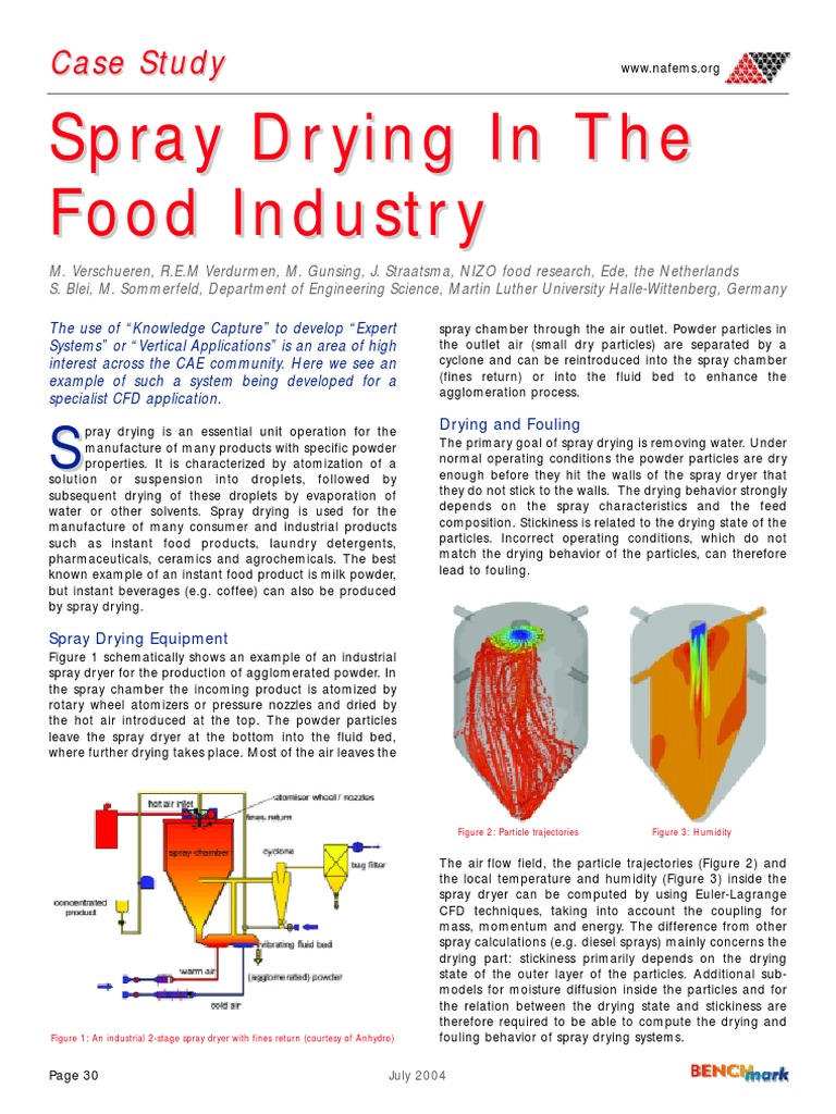 Spray Drying | PDF | Mechanical Engineering | Physics