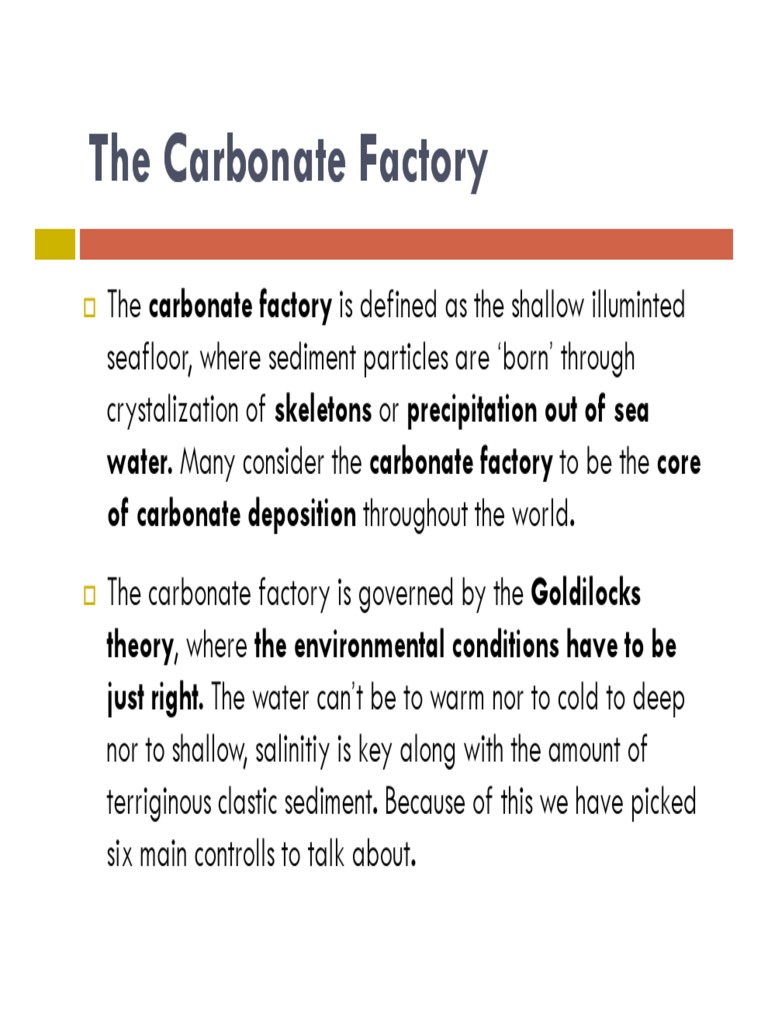Carbonate Factory | PDF | Sediment | Sea