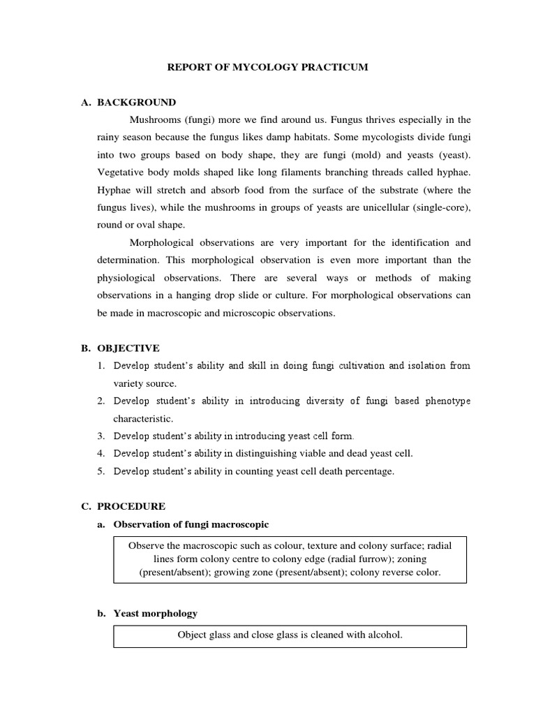 Mycology Practicum Report Overview | PDF | Mushroom | Fungus