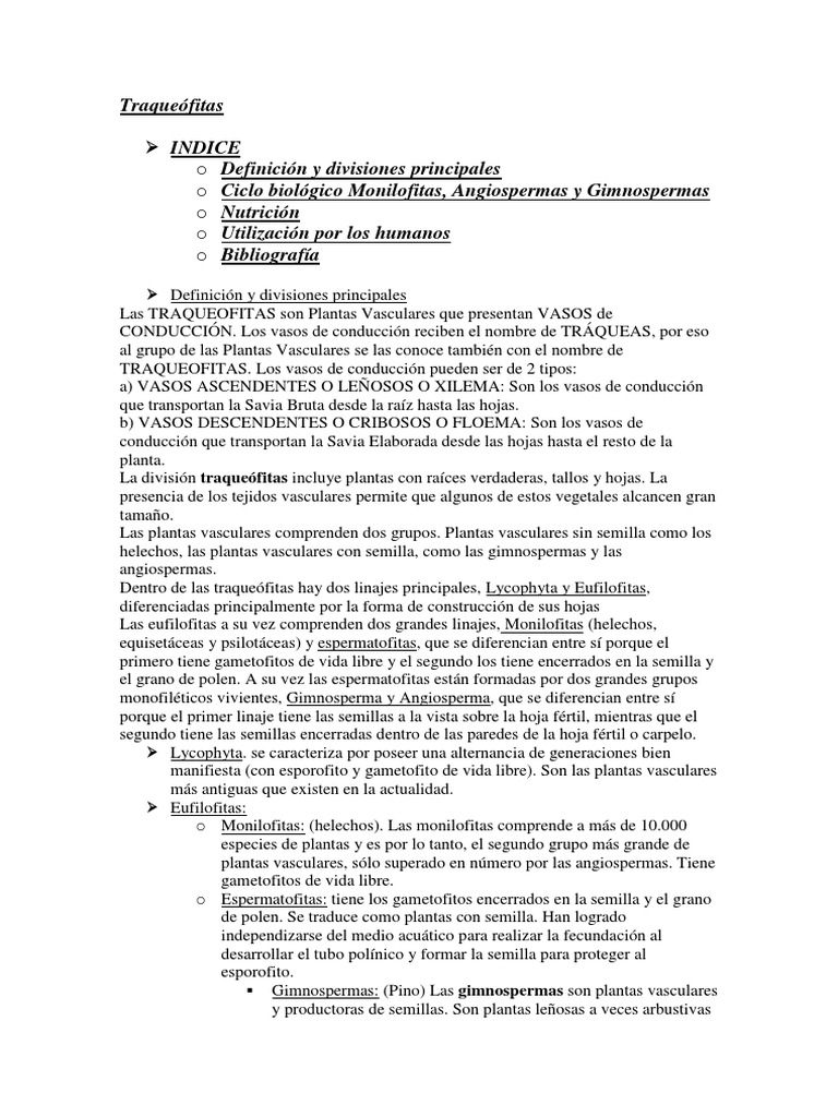 Guía de las Plantas Vasculares | PDF | Plantas | Biología