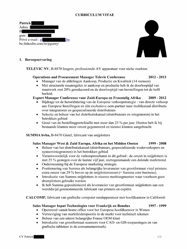 Cv-Check Patrick | PDF