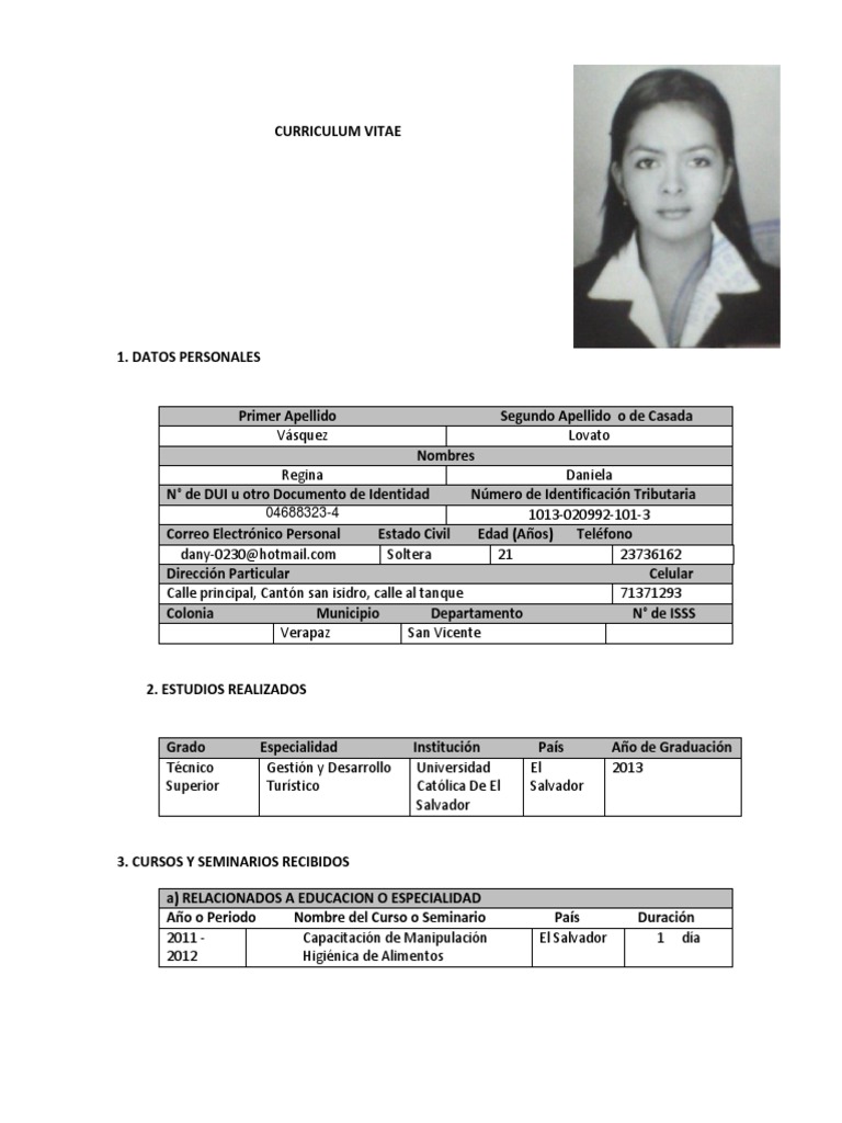 Curriculum Vitae Dany | PDF | Plan de estudios | Enseñando y aprendiendo