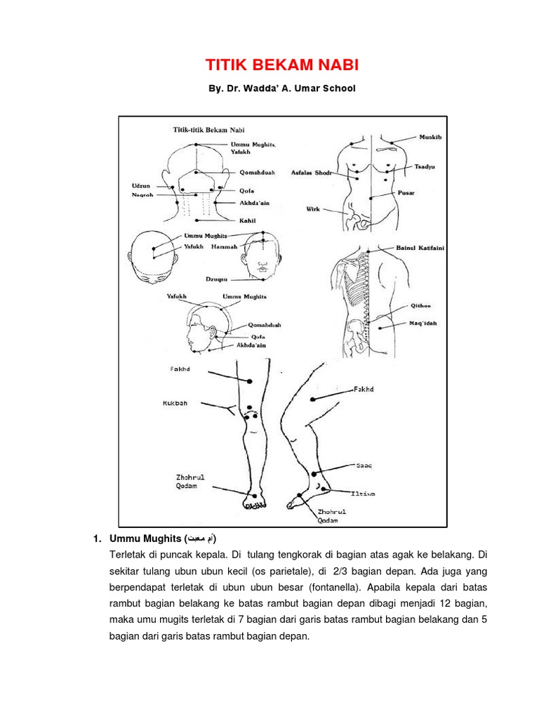 Titik Bekam Nabi Dr. Wadda' | PDF