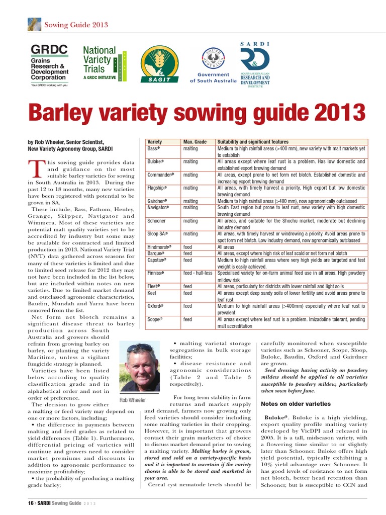 Barley Variety Sowing Guide 2013 | PDF | Barley | Cereals