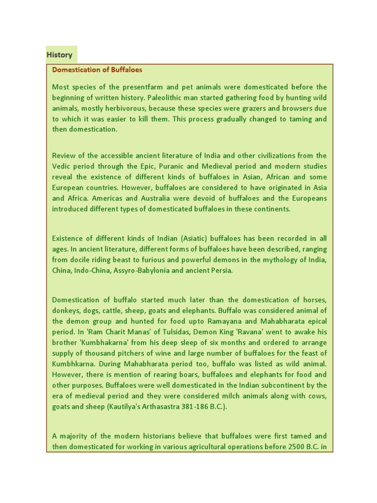 History of Buffalo | PDF | Domestication | Goat