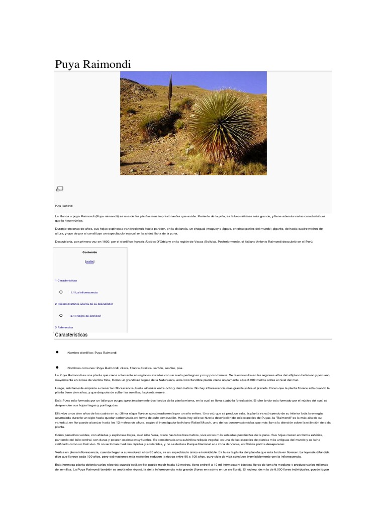 Puya Raimondi | PDF | Plantas | Botánica