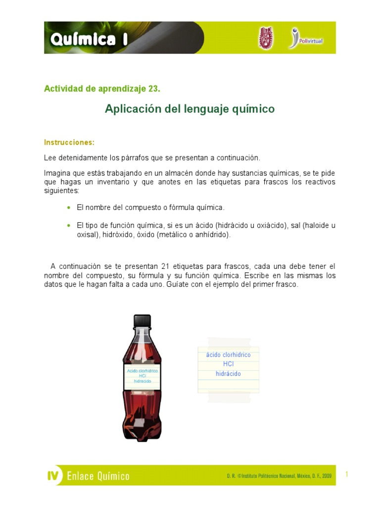 Act23 Aplicacion Lenguaje | PDF | sal | Compuestos químicos