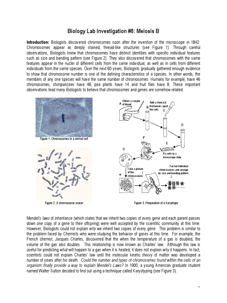 Karyotypes - An Argument-Driven Inquiry Lab Activity | PDF | Karyotype ...