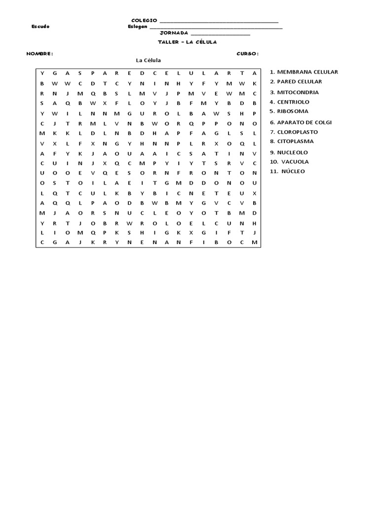 1 Sopa de Letras - La Celula | PDF | Ciencia y matemáticas