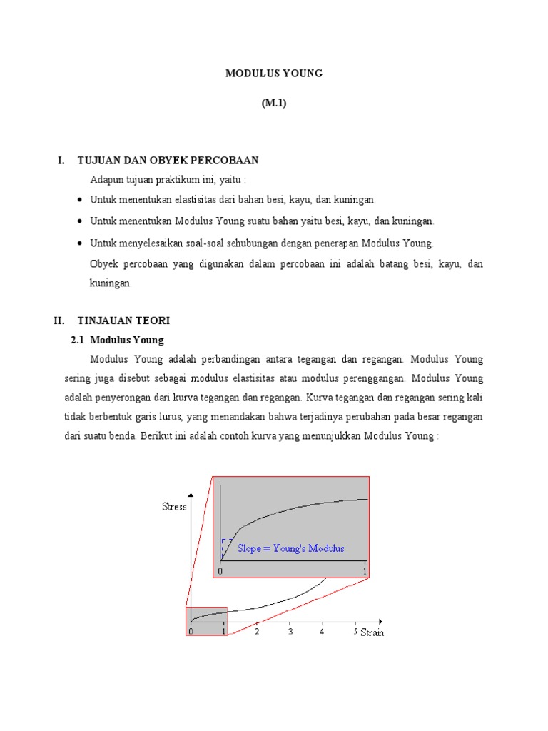 Laporan Modulus Young | PDF | Sains & Matematika