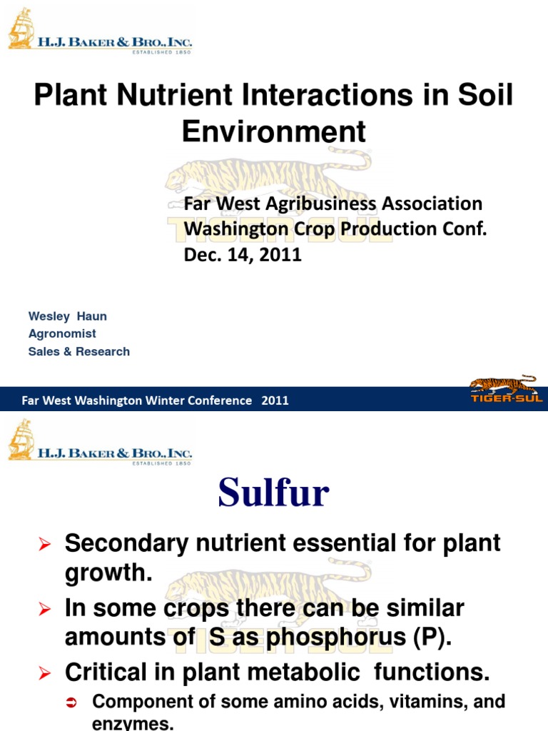 Plant Nutrient Interactions in Soil Environment | Plant Nutrition | Soil