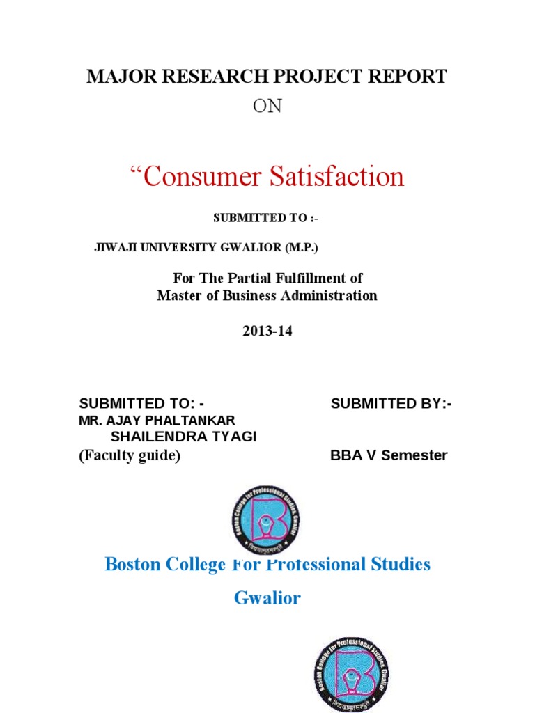 Customer Satisfaction Project Report | PDF