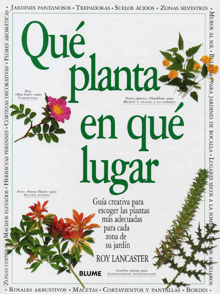 Nzqs Botanica Jardineria Libro Que Planta en Que Lugar R Lancaster ...