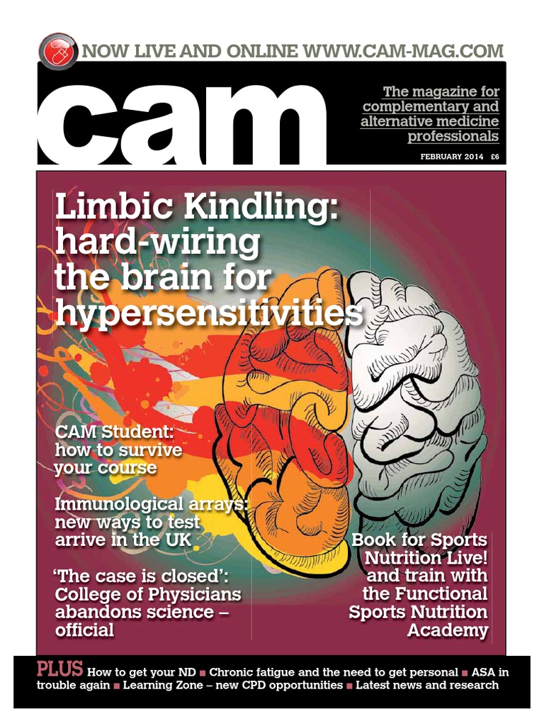 Limibic Kindling: Hard-Wiring The Brain For Hypersensitivities | PDF ...