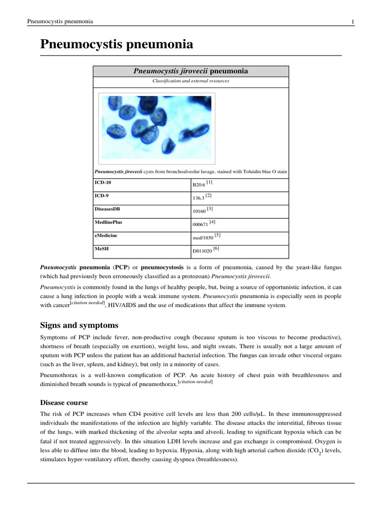Pneumocystis Pneumonia | Medical Specialties | Clinical Medicine