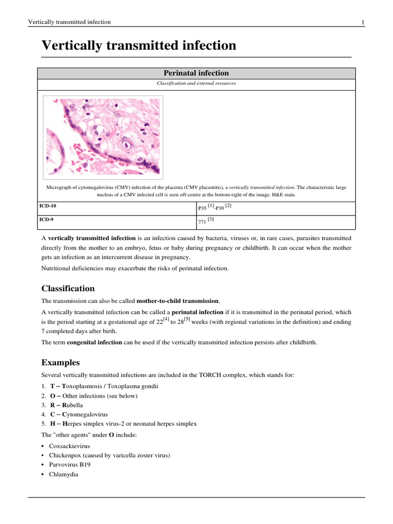 Vertically Transmitted Infection | Medical Specialties | Earth & Life ...