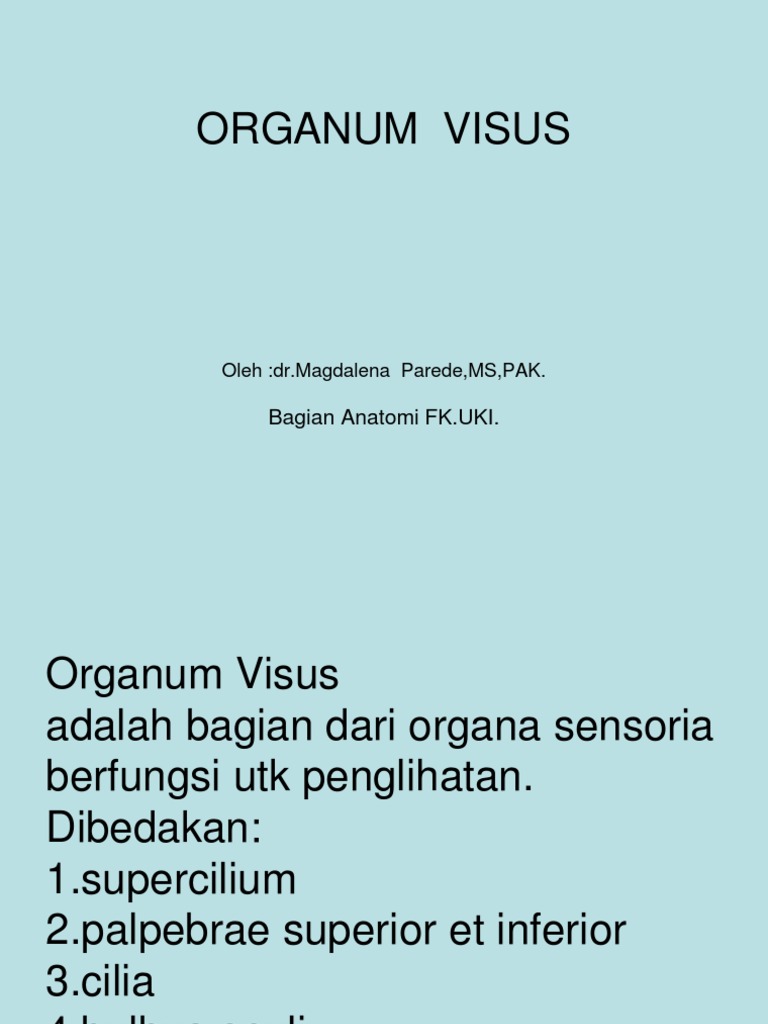 Organum Visus | PDF