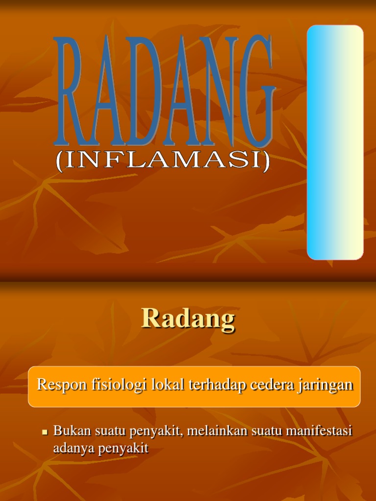 Proses Peradangan | PDF