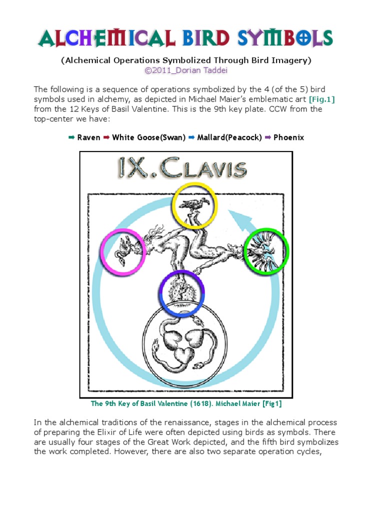Alchemical Operations Symbolized Through Bird Imagery | PDF | Alchemy ...