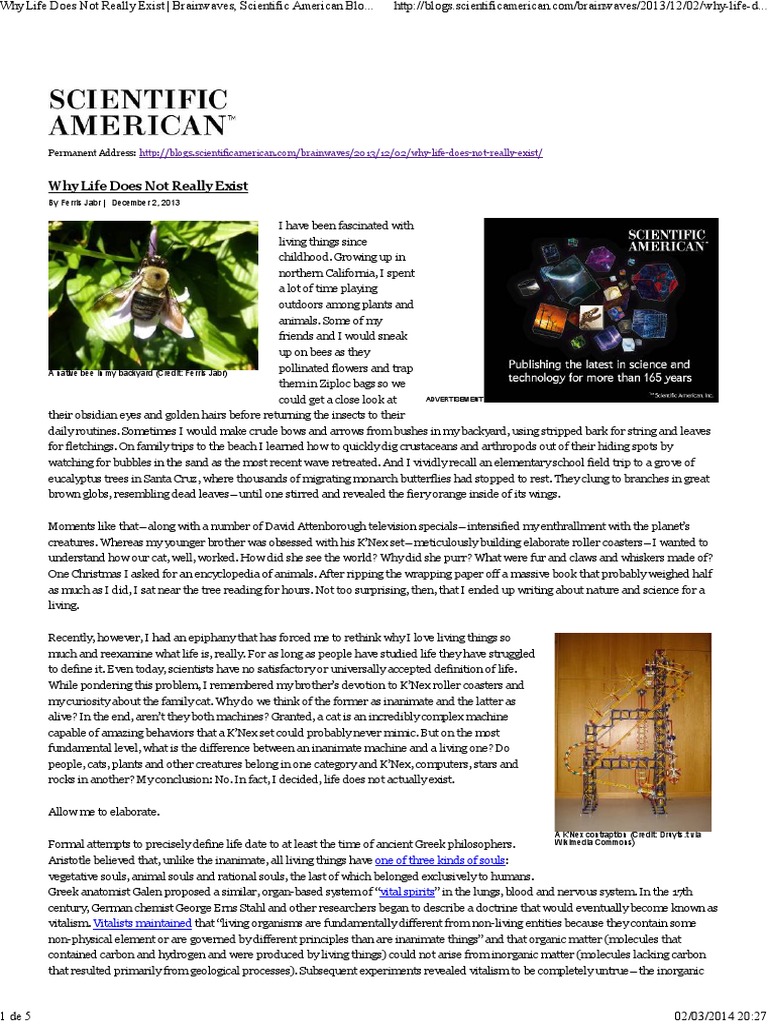 Why Life Does Not Really Exist | PDF | Life | Rna