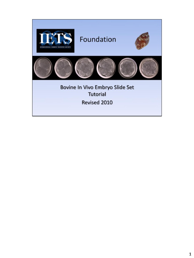 IETS Embryo Grading Tutorial | PDF | Fertilisation | Biological ...
