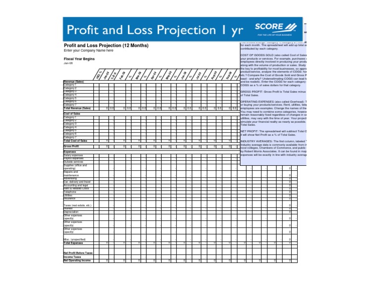Profit and Loss Projection (12 Months) : Enter Your Company Name Here ...