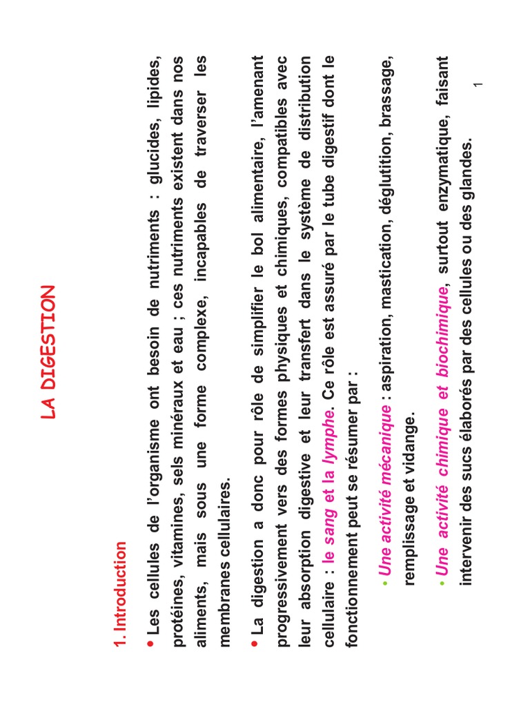 Physiologie Digestive BIS | PDF | Estomac | Appareil digestif humain