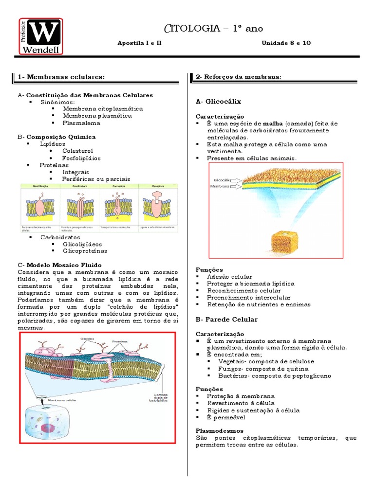 Resumo - Citologia | Membrana Celular | Histologia