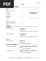 CV Format Shqip | PDF