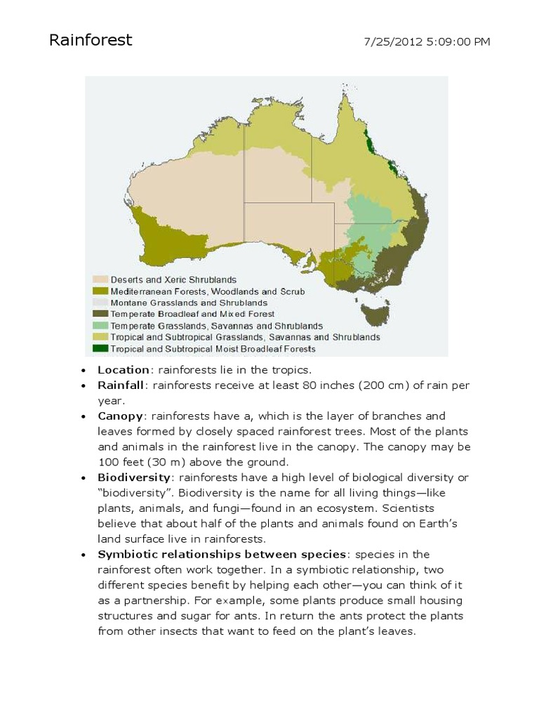 Rainforest | PDF | Rainforest | Trees