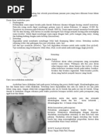 Panduan Suara Napas dan Perkusi | PDF | Seni & Disiplin Bahasa | Kajian Bahasa Asing