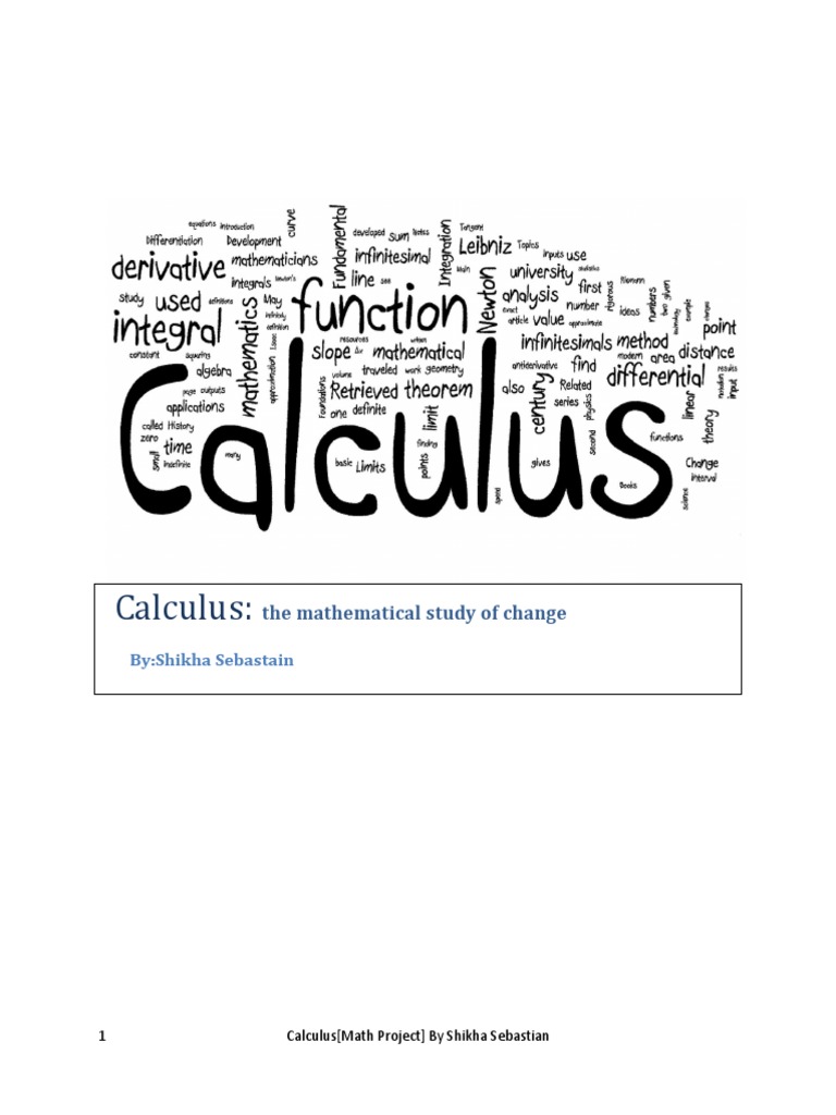 Calculus Paper | PDF