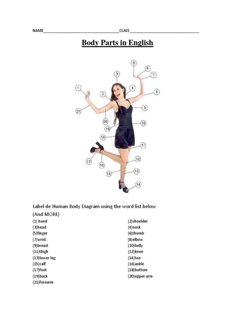 Body Parts in English: Label de Human Body Diagram Using The Word List ...