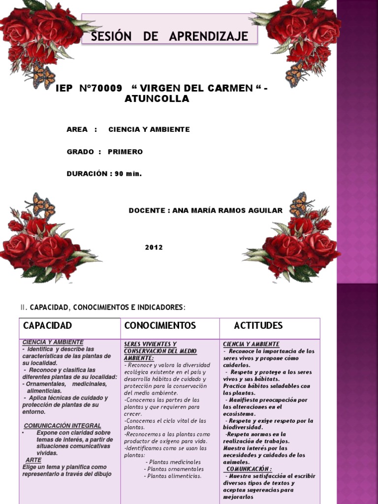 Sesion de Aprendizaje La Planta y Sus Partes | PDF | Biodiversidad ...