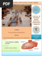 Entrega Final Semana 7 | PDF | Sabor | Gusto