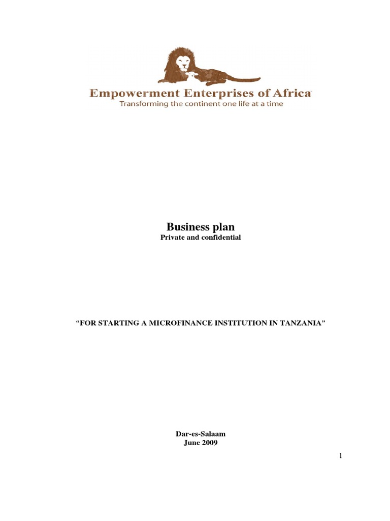 Example Business Plan For Microfinance | PDF | Microfinance | Microcredit