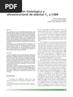 Plantas CAM y C4 | PDF