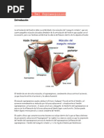 Apófisis Coracoides | PDF | Hombro | Extremidades (anatomía)