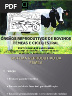 Manual de Reprodução Bovina | PDF | Hormônio luteinizante | Ovário