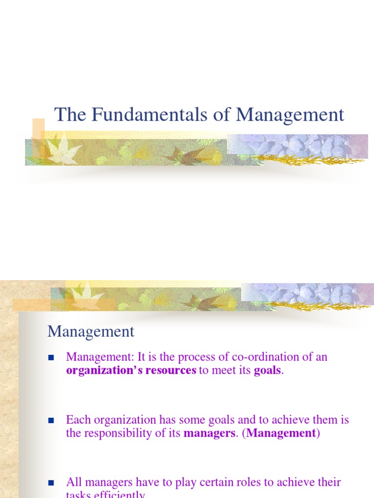 Fundamentals of Management | PDF | Leadership | Goal