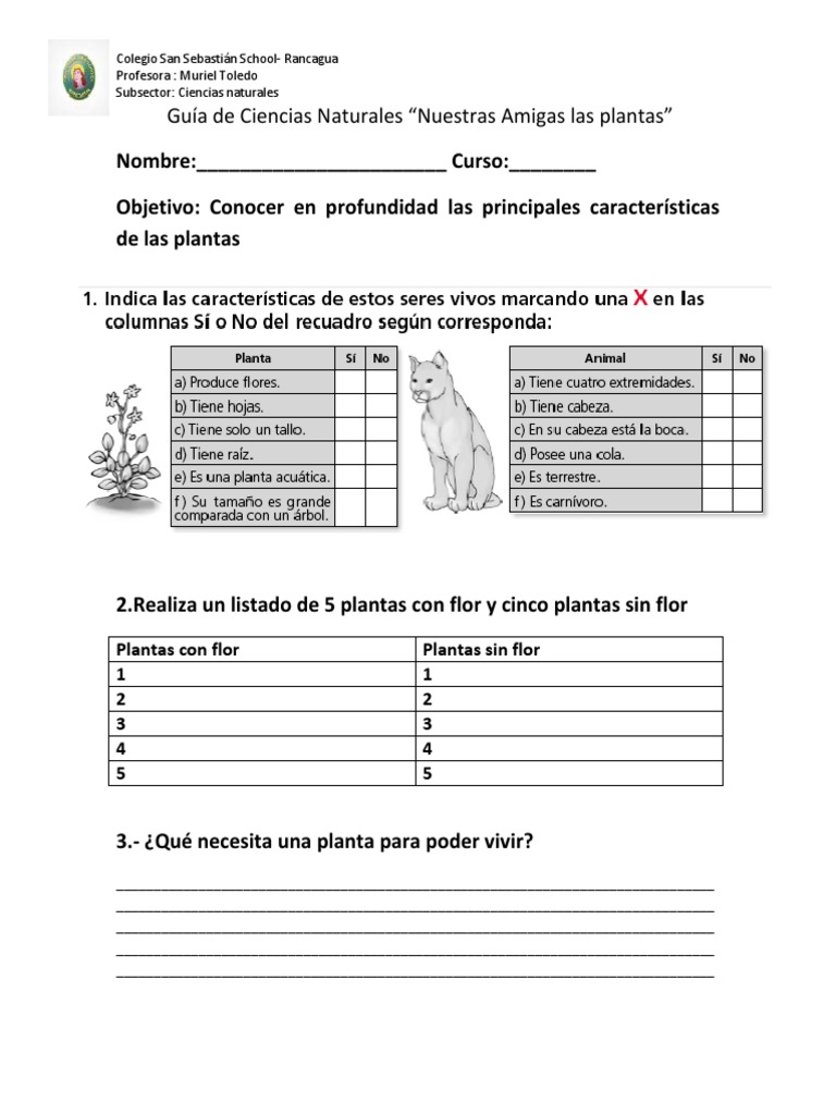 Hojas De Trabajo Para Ciencias De Tercer Grado