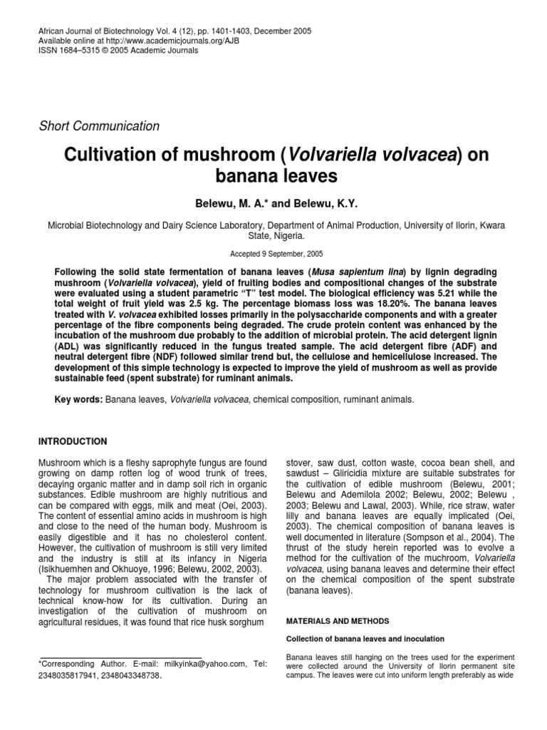 Cultivation of Mushroom (Volvariella Volvacea) On Banana Leaves | PDF ...