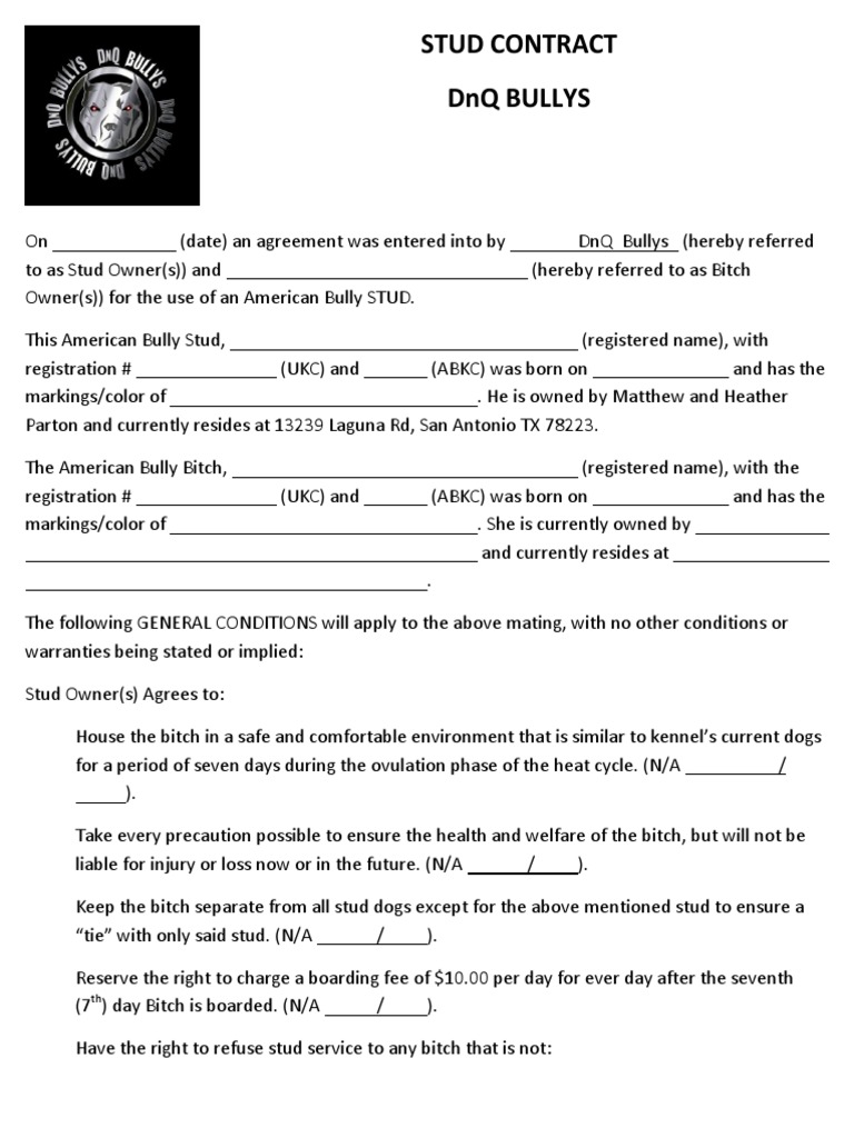 dnq bullys stud contract | Horse Breeding | Dogs