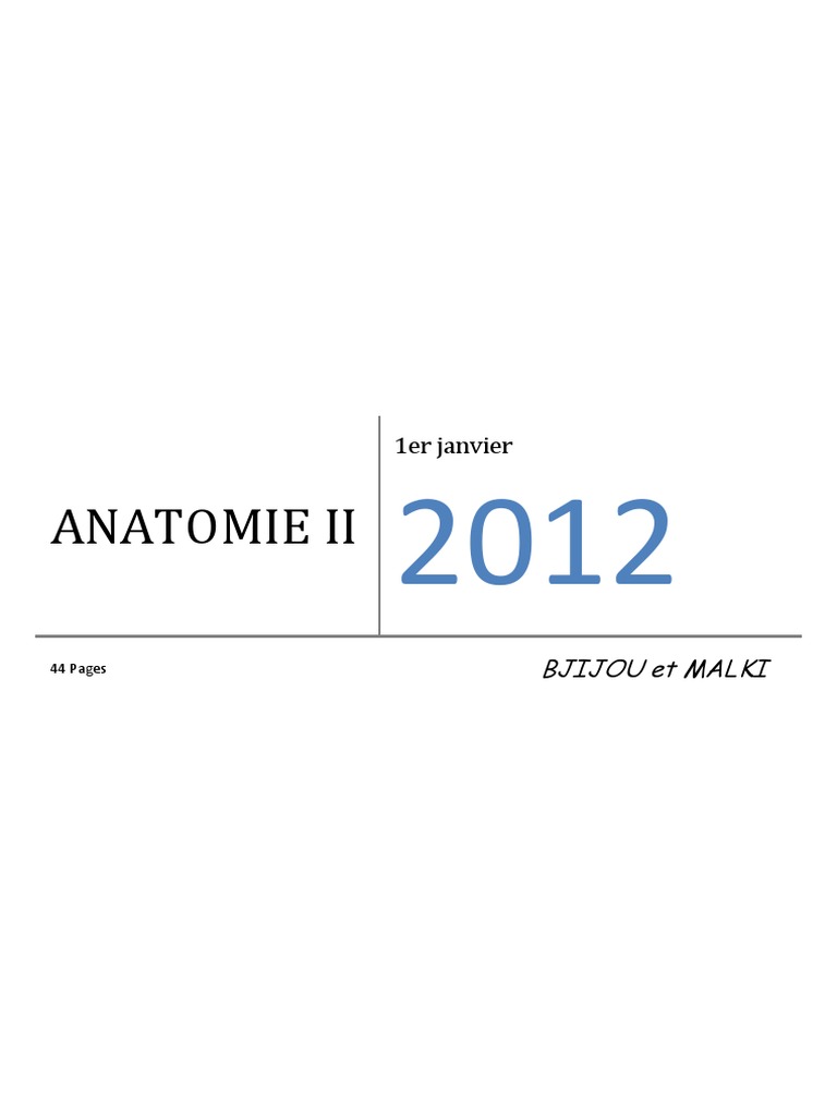 Anatomie des Parois Abdominales | PDF | Péritoine | Utérus