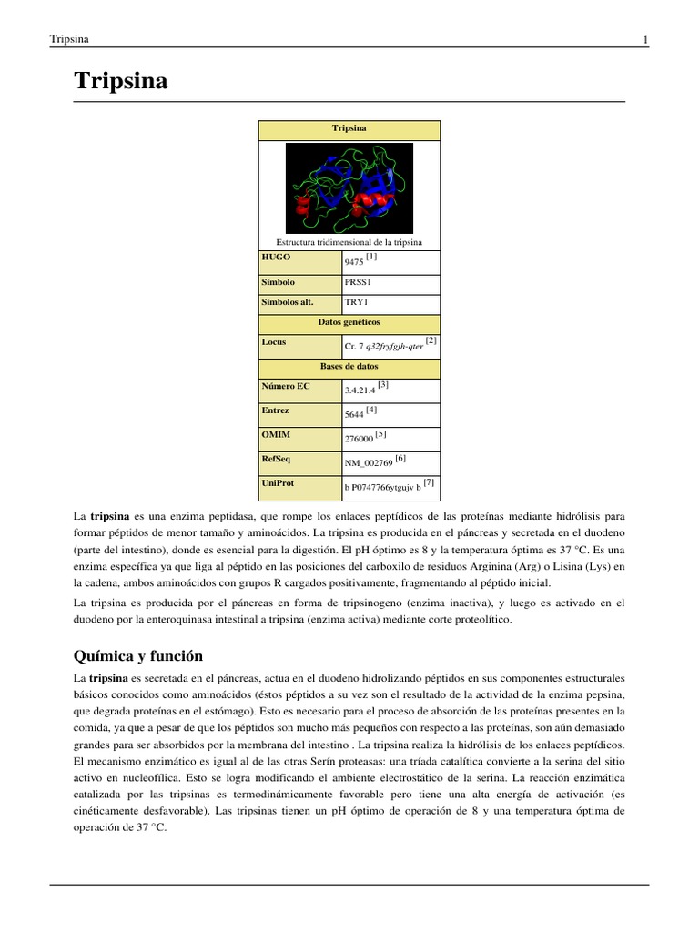 Tripsina | PDF | Tripsina | Bioquímica