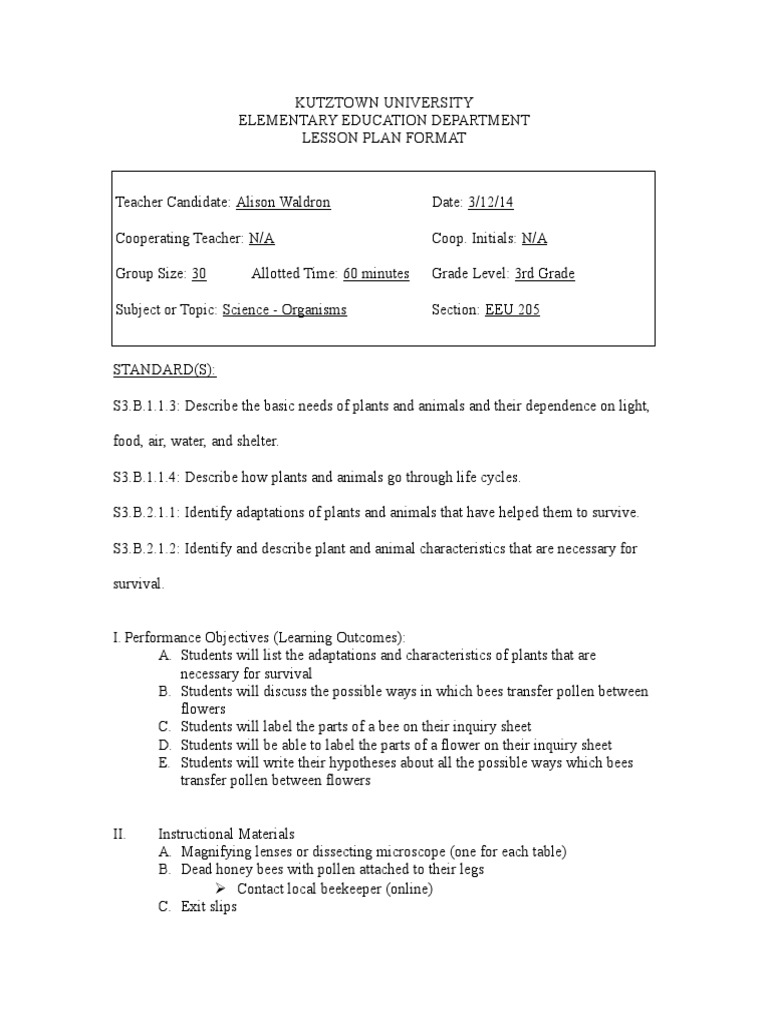 Eeu 205 Lesson Plan Bees Word | PDF | Bees | Pollen