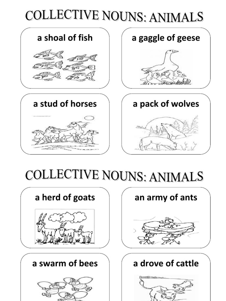 Collective Nouns for Animals Guide | PDF | Art